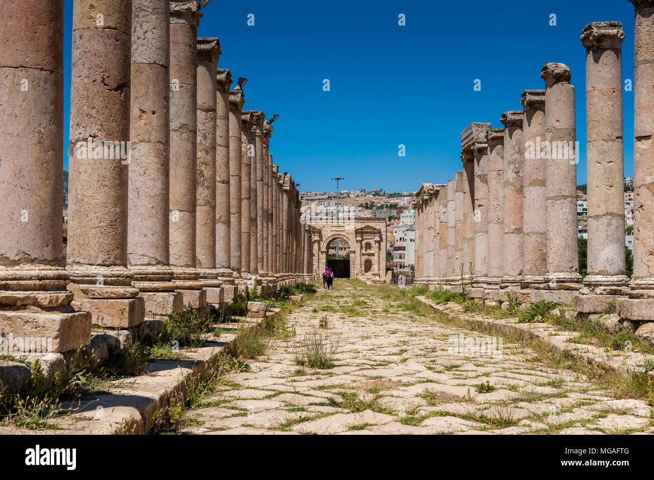 Columns of the cardo maximus, Ancient Roman city of Gerasa of Antiquity ...