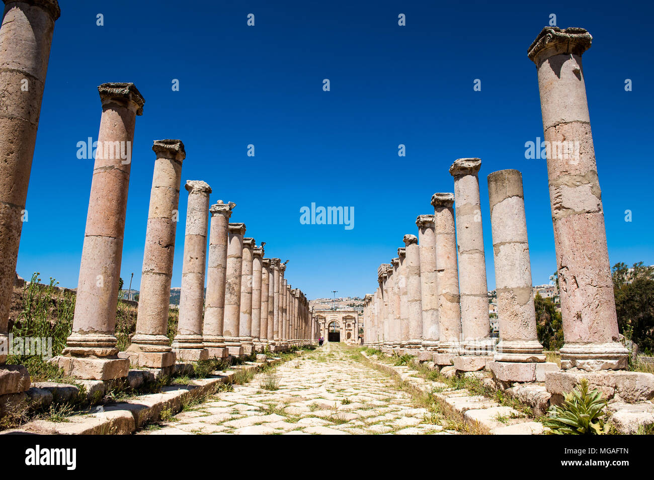 Columns of the cardo maximus, Ancient Roman city of Gerasa of Antiquity ...