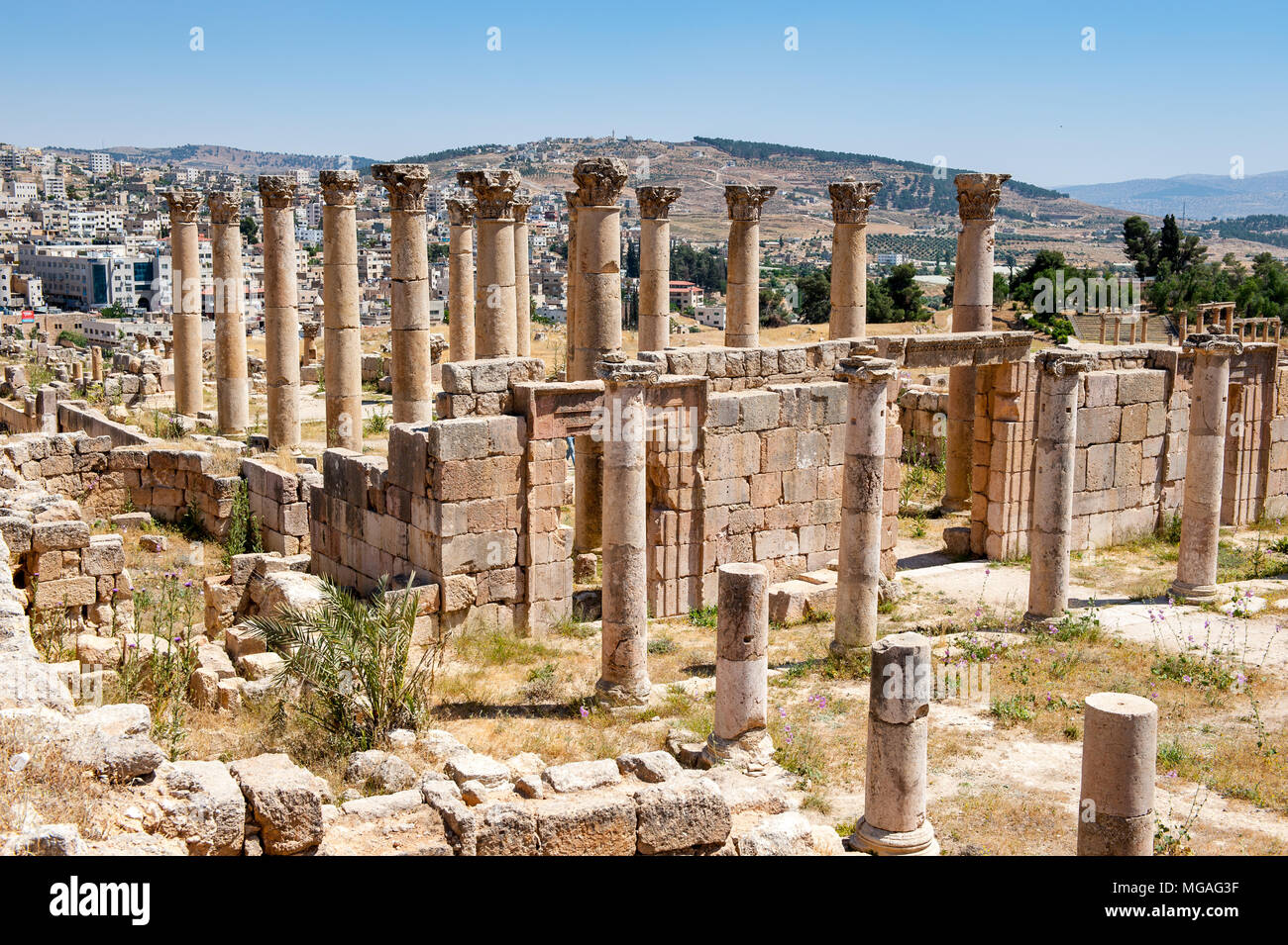 Columns of the Ancient Roman city of Gerasa of Antiquity , modern ...