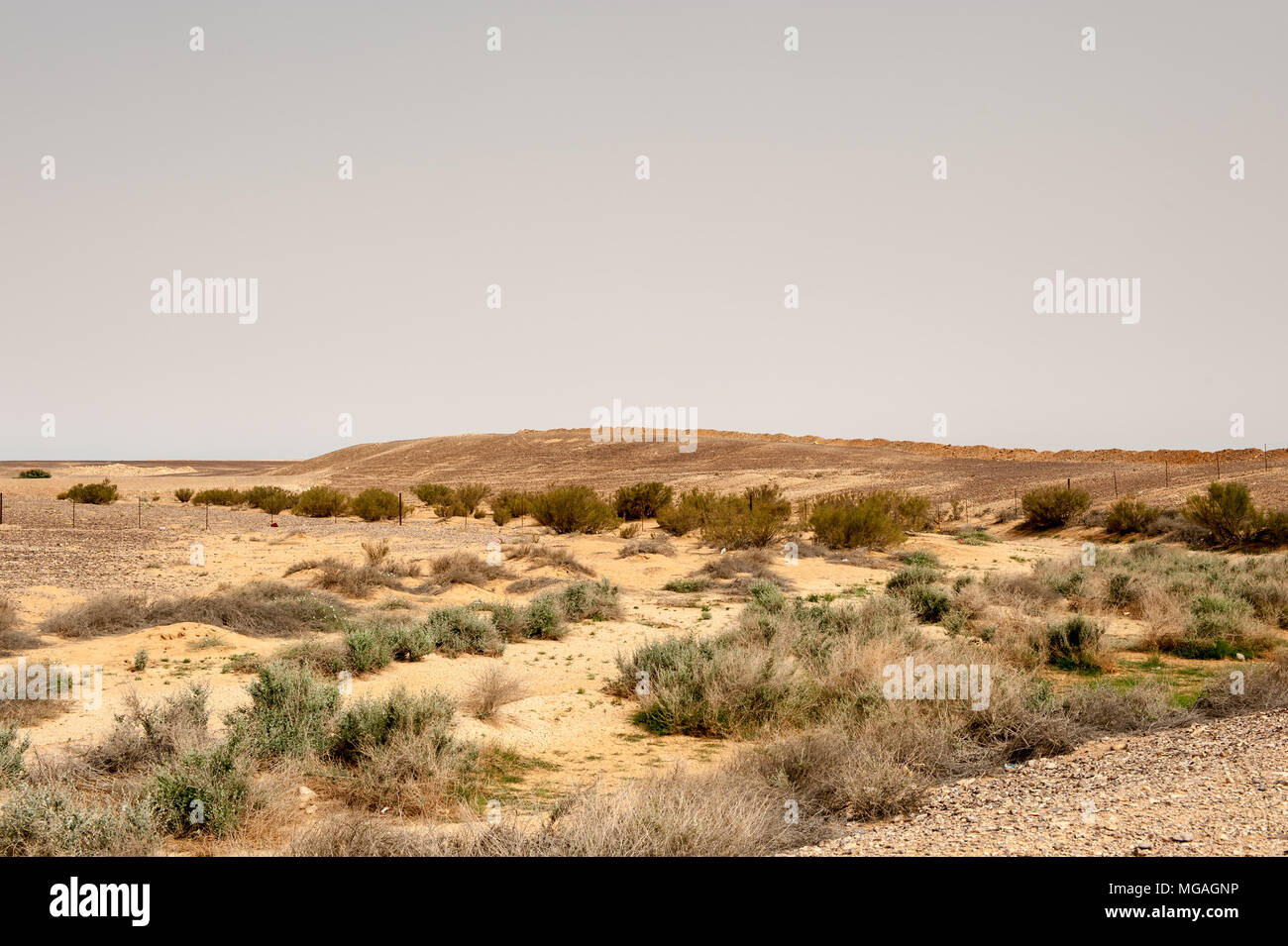 Desert of Jordan Stock Photo - Alamy