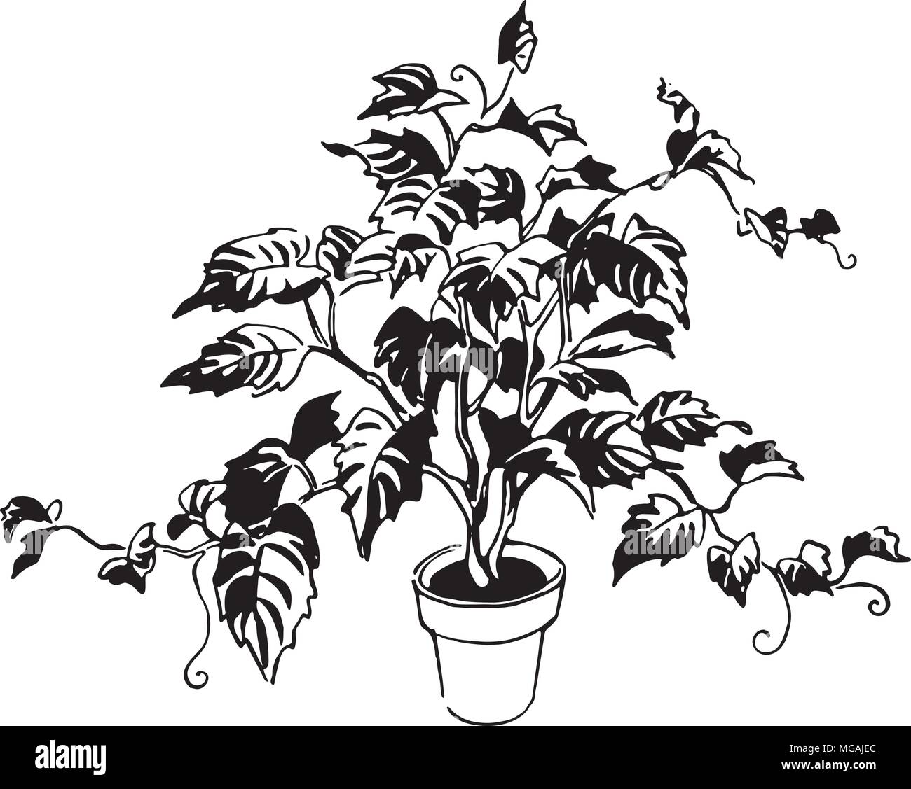 Illustration creeping plant Stock Vector Images - Alamy