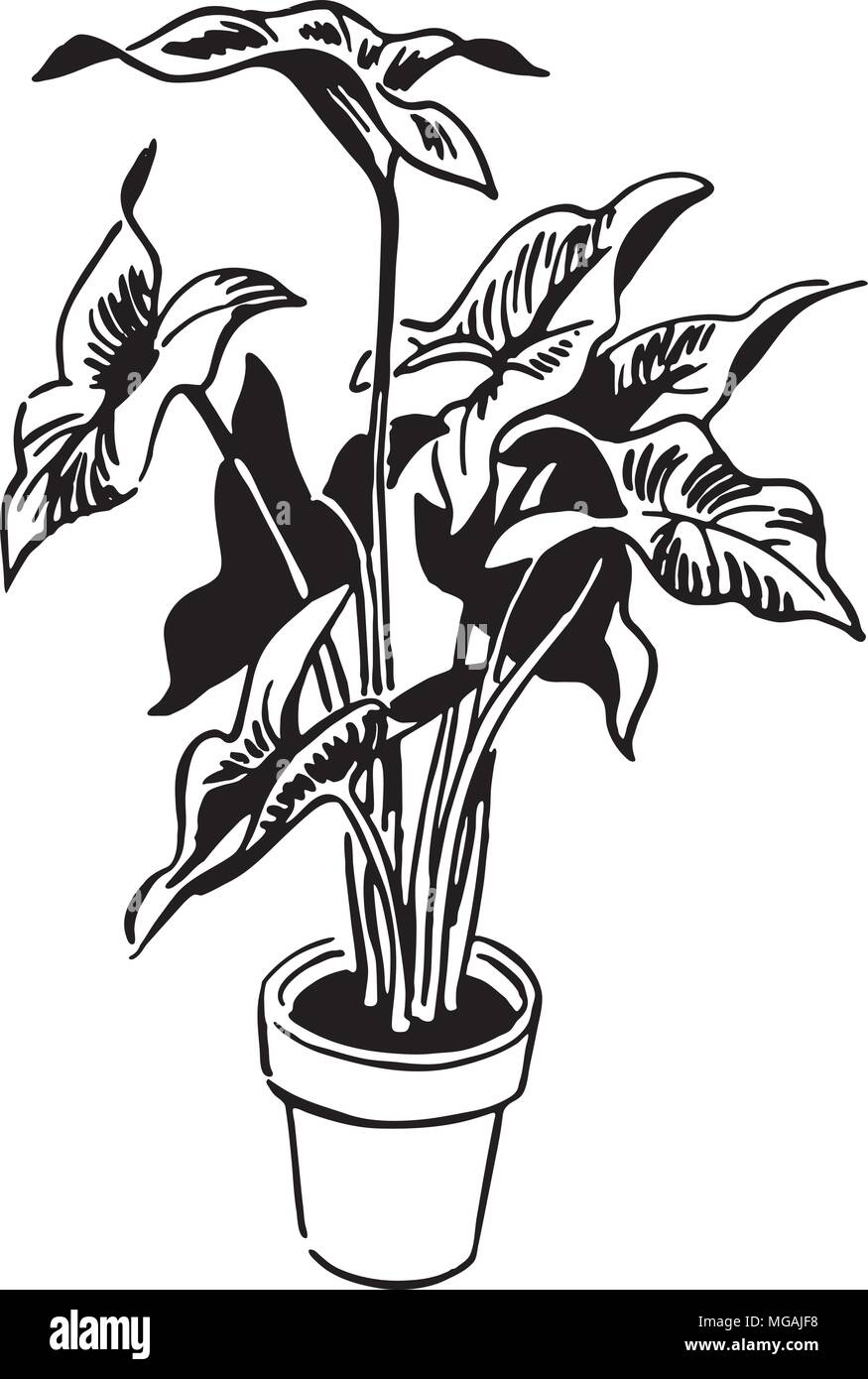 Plant 5 - Retro Clipart Illustration Stock Vector Image & Art - Alamy