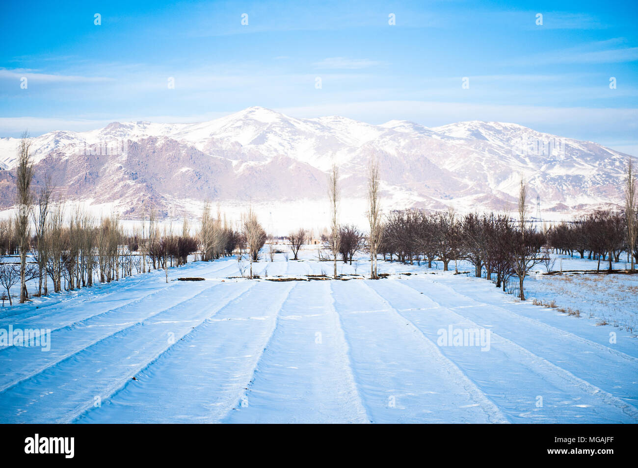Alborz mountains in winter covered with snow Stock Photo - Alamy
