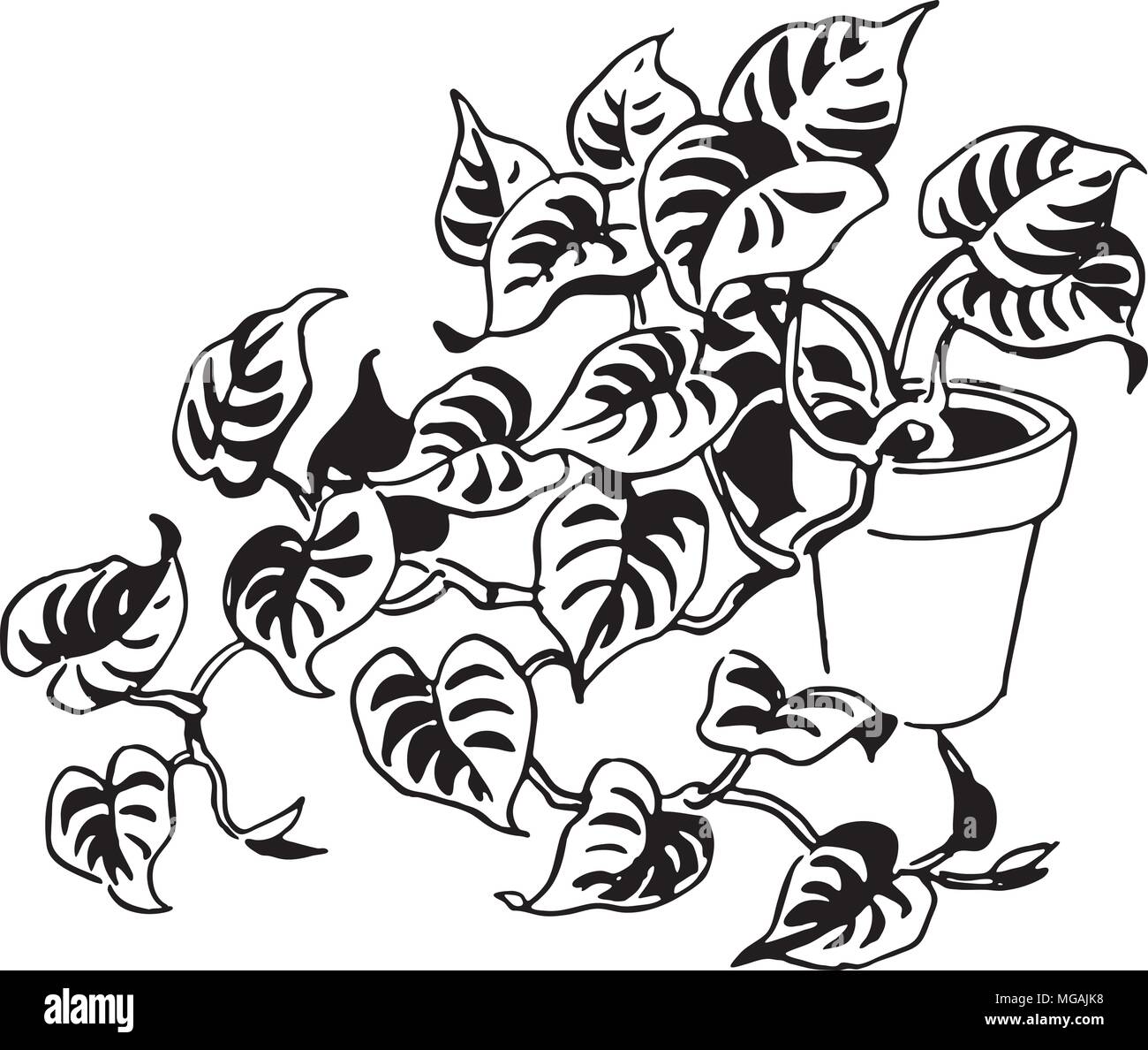 Illustration creeping plant Stock Vector Images - Alamy