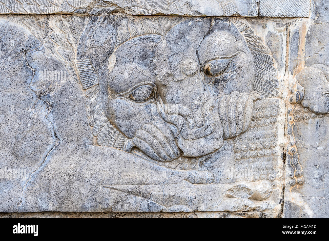 Achaemenid empire persian lion darius hi-res stock photography and ...