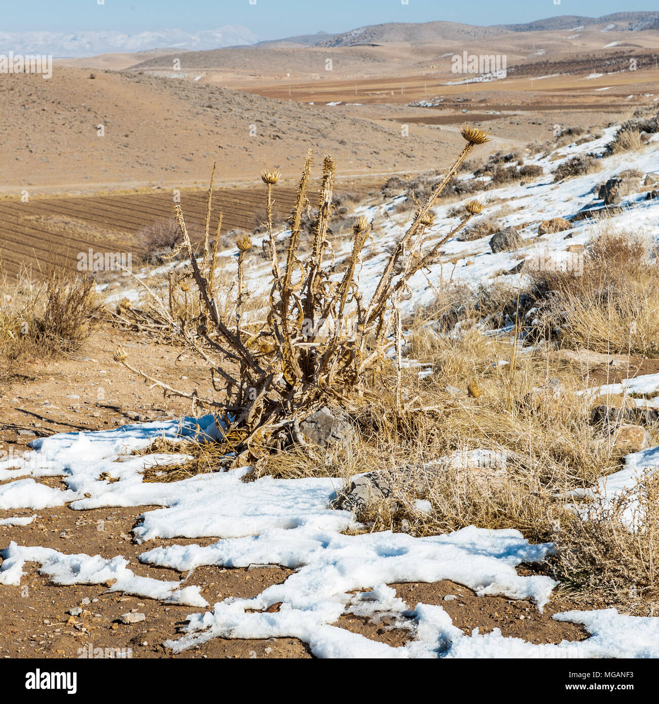 Desert near the ancient Persian city of Pasargad, Iran. UNESCO World ...