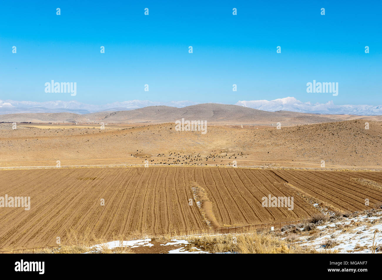 Desert near the ancient Persian city of Pasargad, Iran. UNESCO World ...