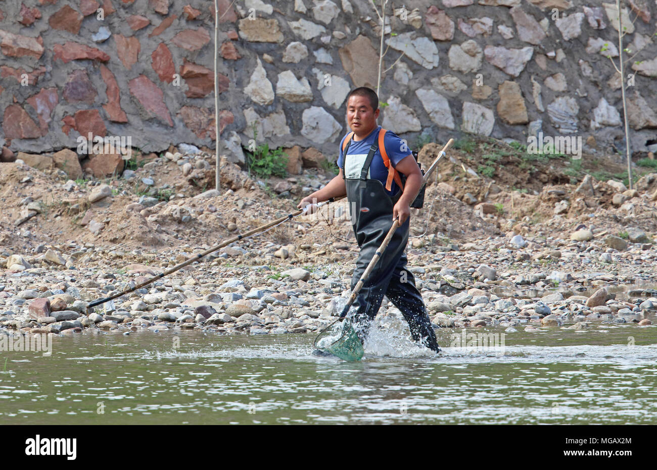 man electrofishing in shallow water Hebei, China May 2016 Stock Photo ...