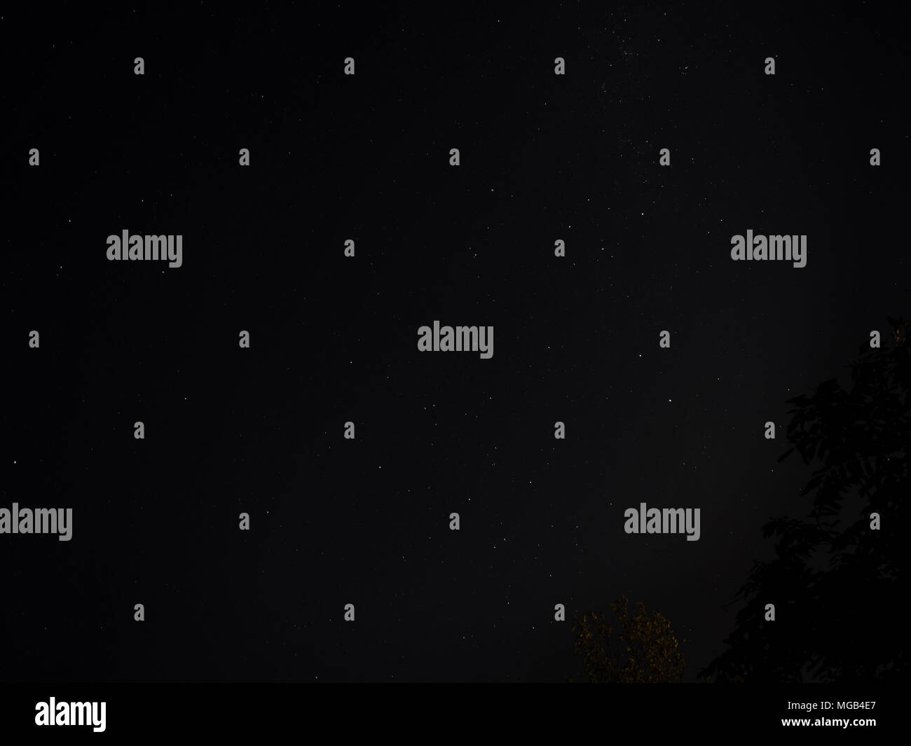 the night sky with stars and trees Stock Photo - Alamy