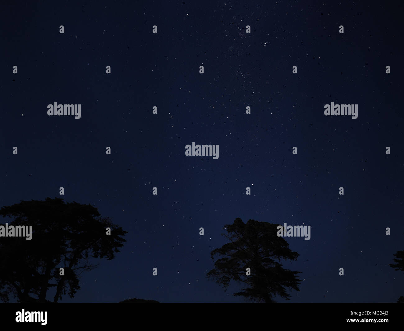the night sky with stars and trees Stock Photo - Alamy