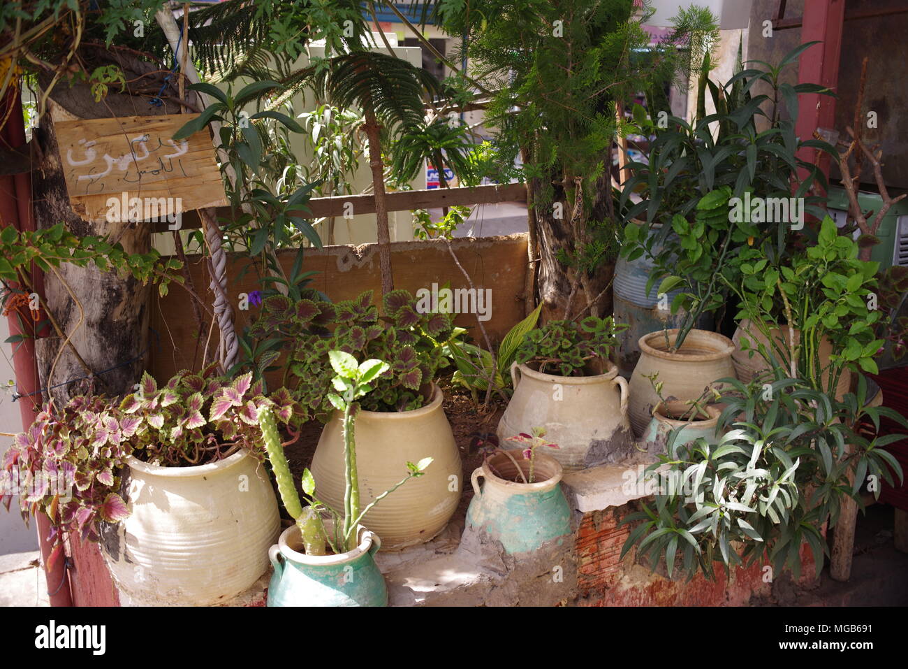 Aqaba jordan souk hi-res stock photography and images - Alamy