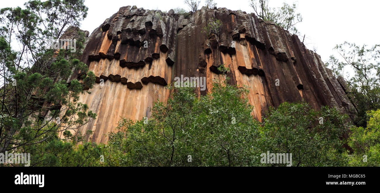 View of the forty meters high cliff and its basalt lava columns of ...