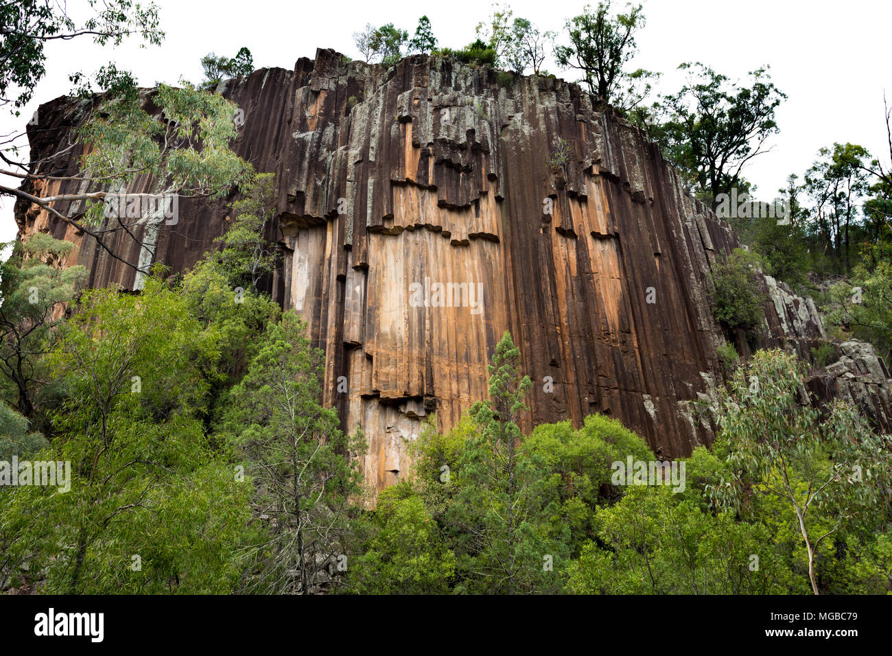 View of the forty meters high cliff and its basalt lava columns of ...