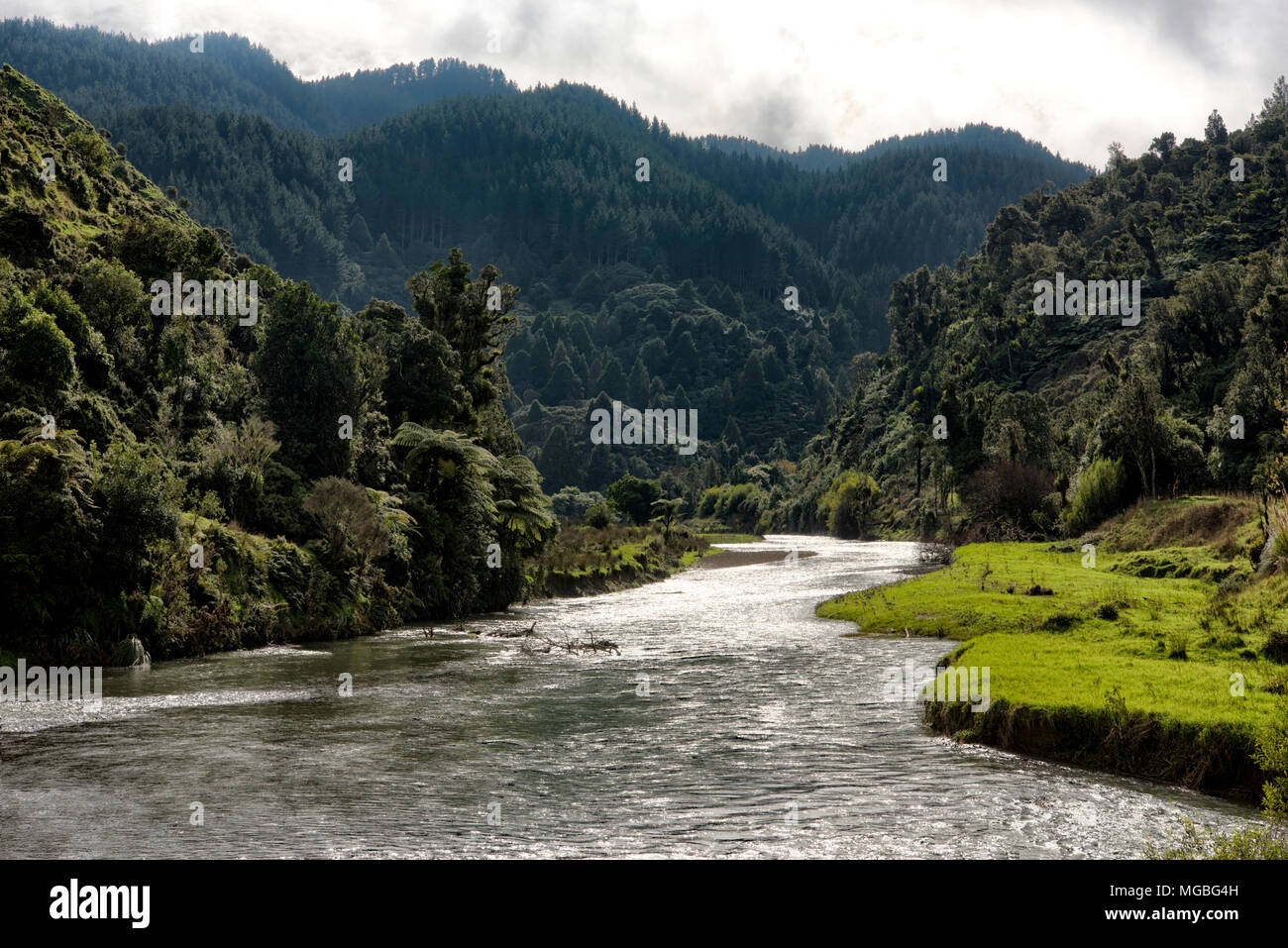 Awakino river. Awakino gorge, Taranaki Stock Photo - Alamy