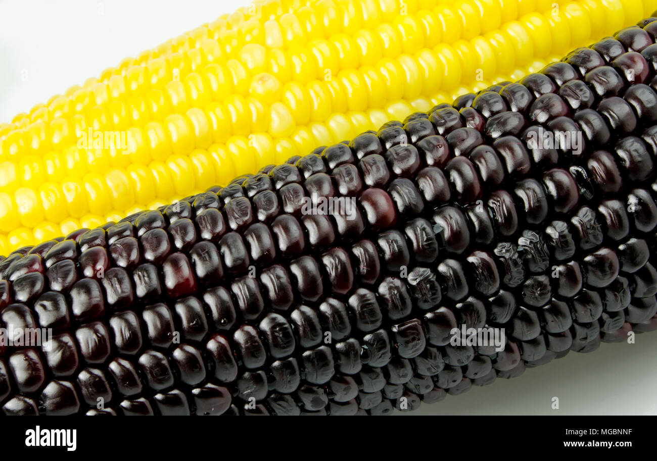 isolated texture of sweet purple corn Stock Photo - Alamy