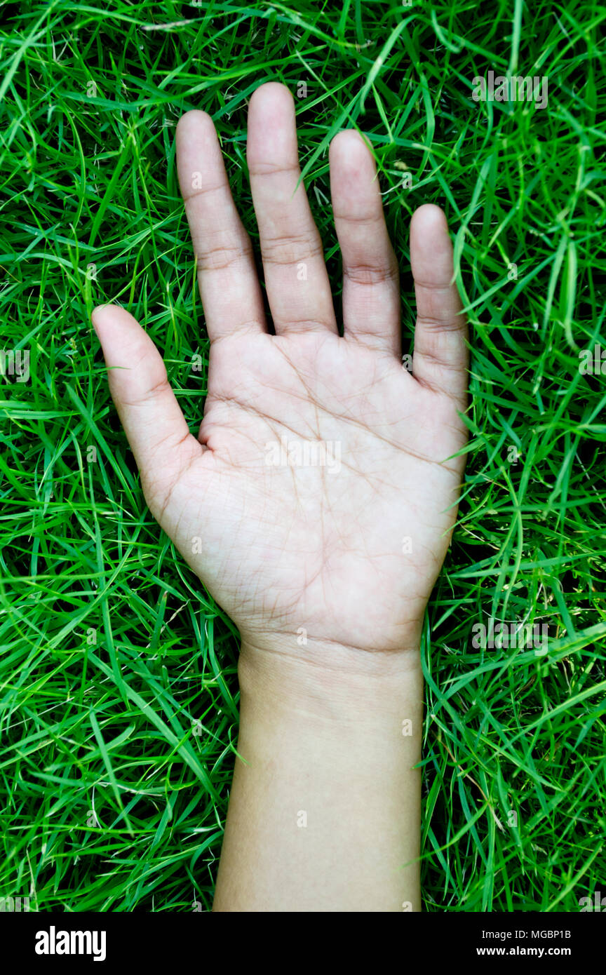Hand on green lush grass Stock Photo - Alamy