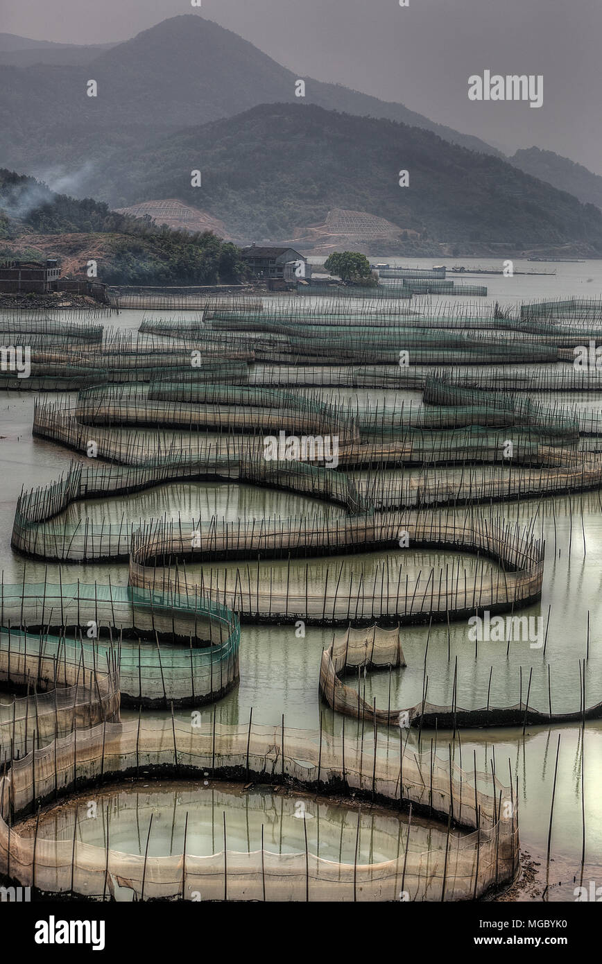 China fish farmer hi-res stock photography and images - Alamy