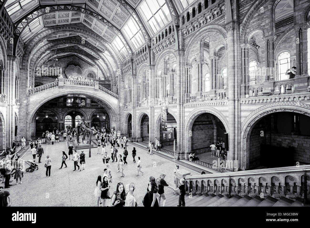 Main Hall of the Natural History Museum, London Stock Photo - Alamy