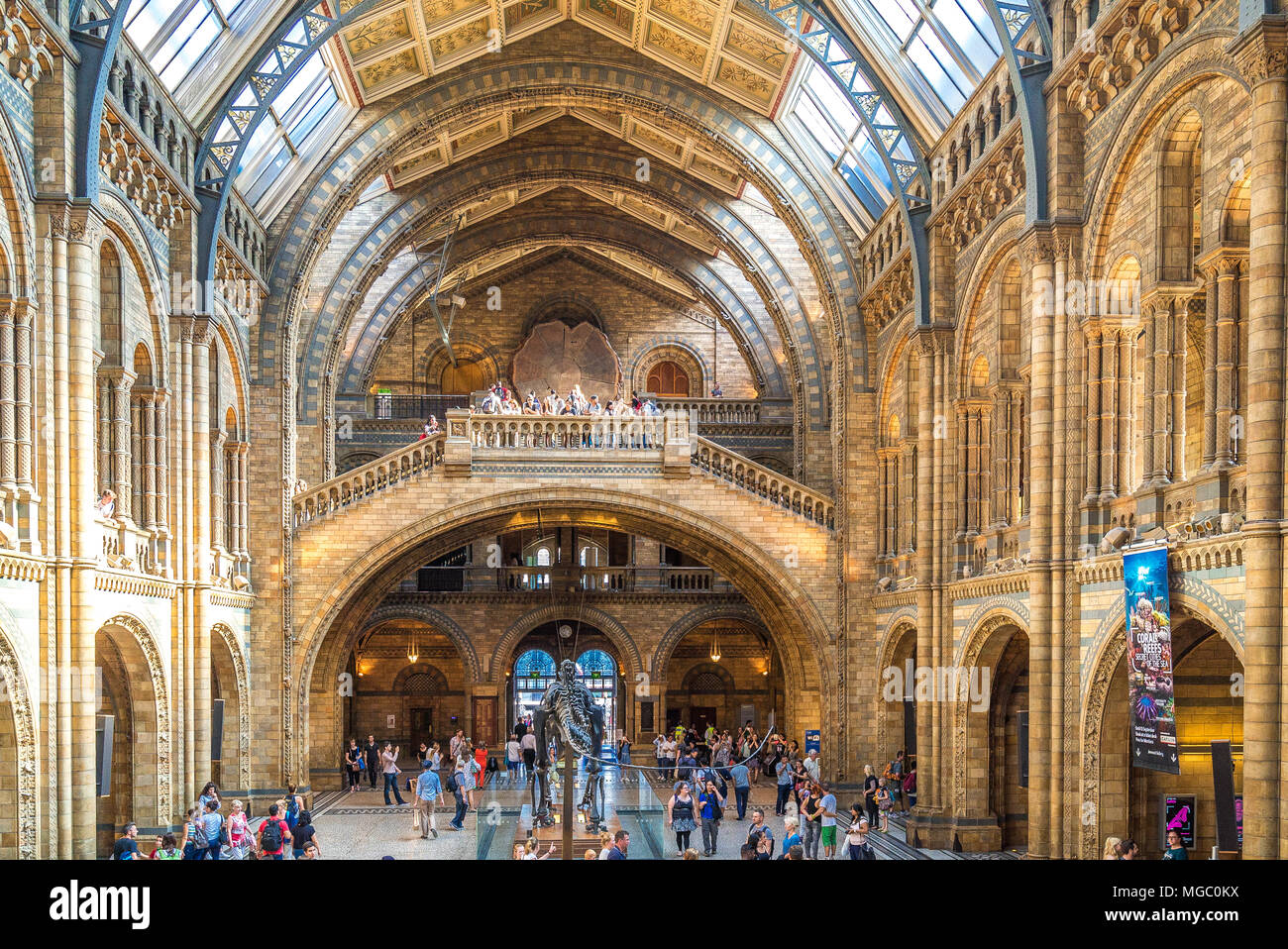 Main hall natural history hi-res stock photography and images - Alamy
