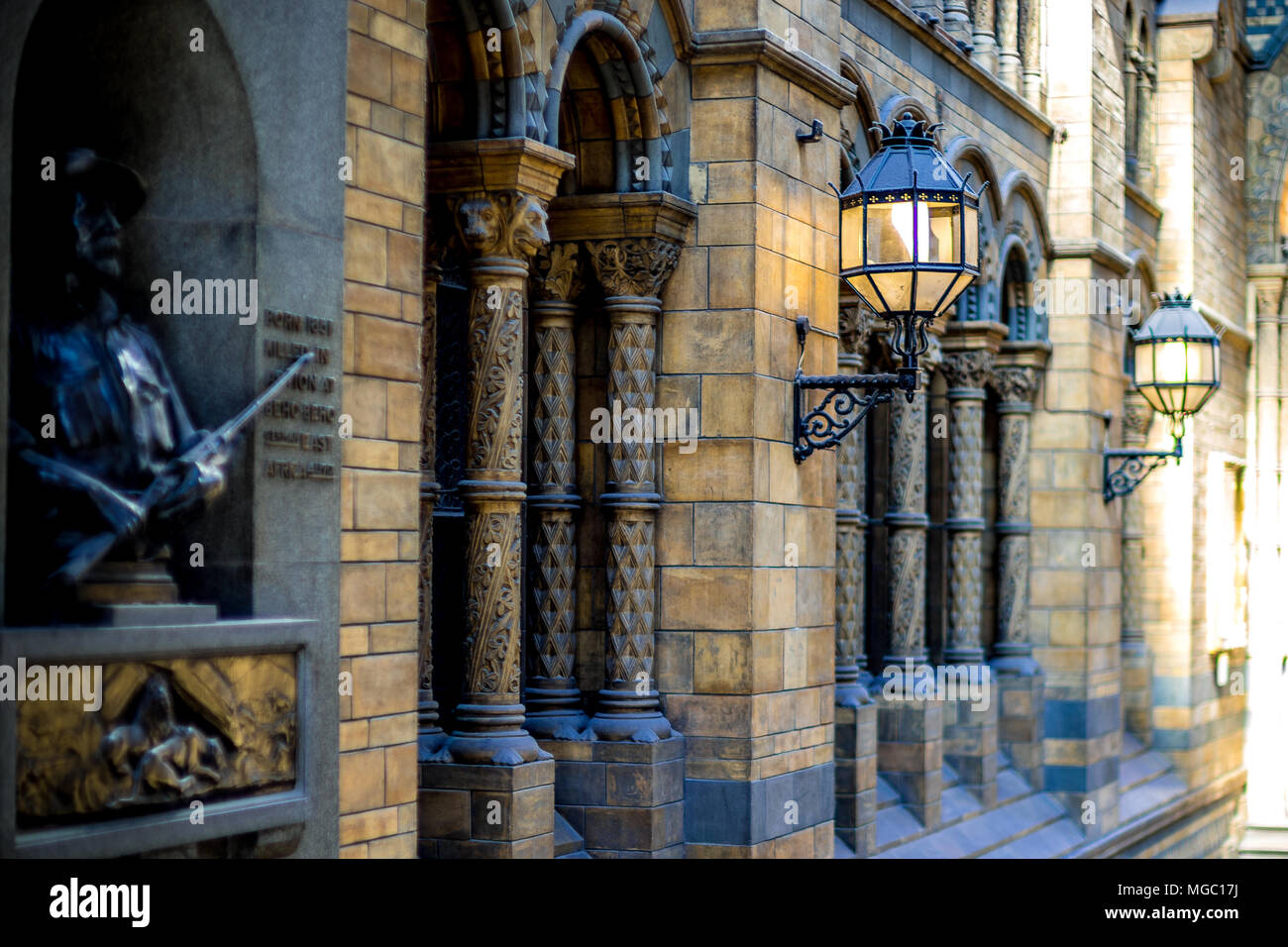 Main Hall of the Natural History Museum, London Stock Photo - Alamy