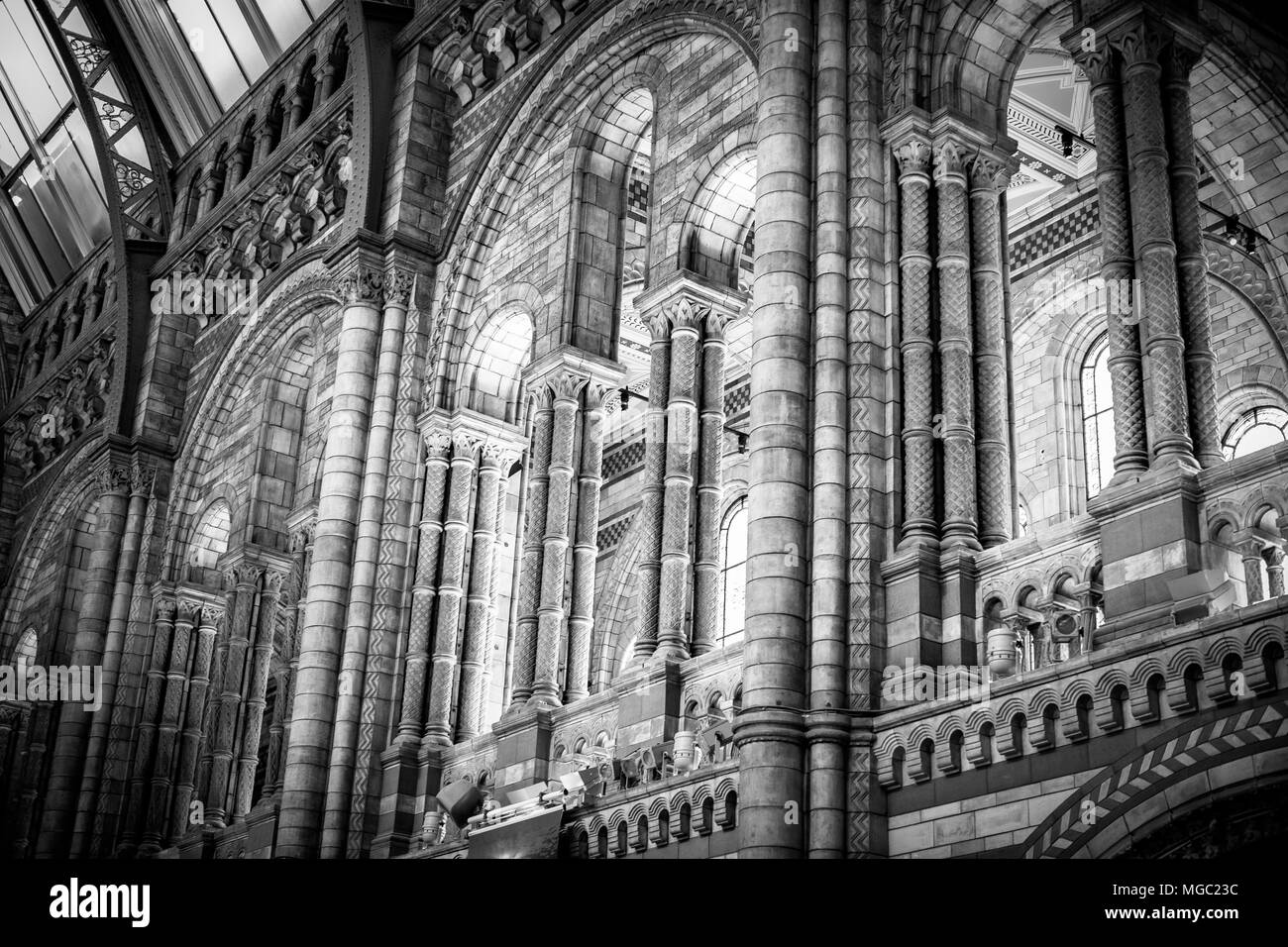 Main Hall of the Natural History Museum, London Stock Photo - Alamy
