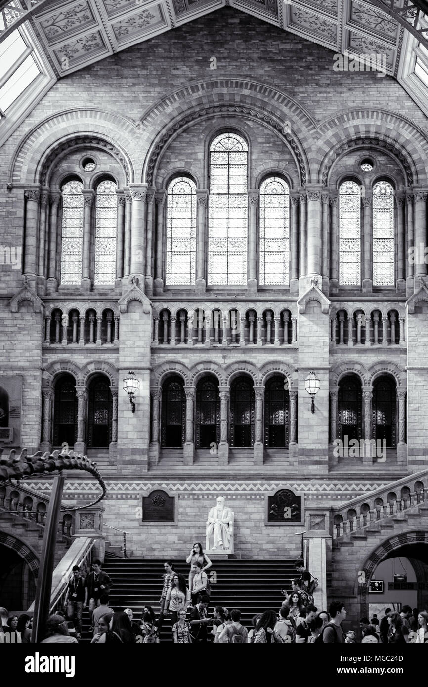 Main Hall of the Natural History Museum, London Stock Photo - Alamy
