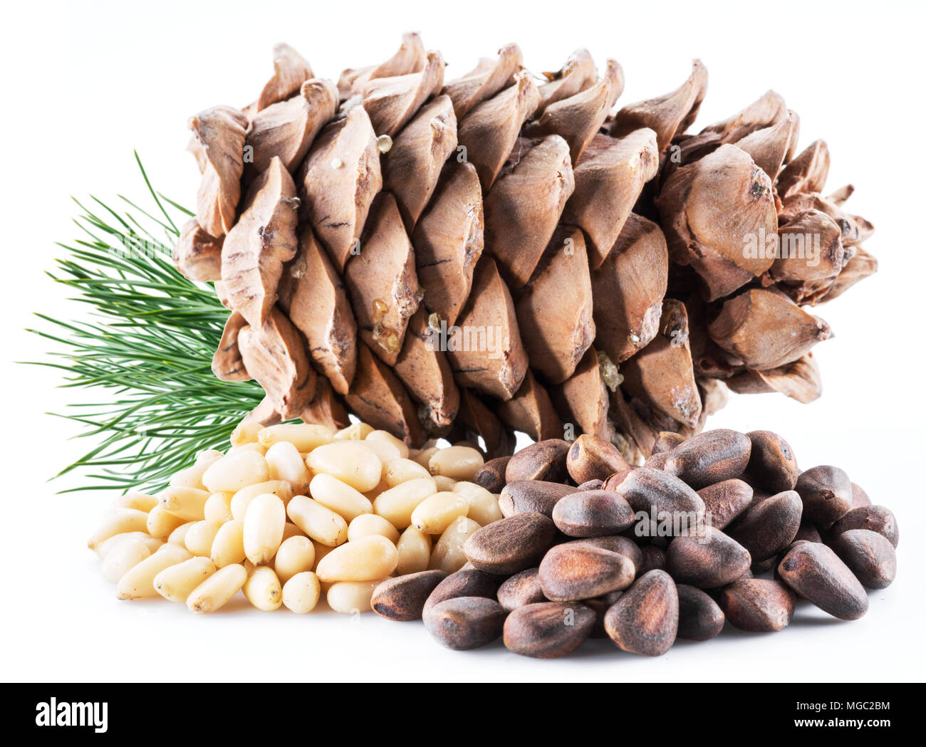 Pine nut cone and pine nuts on the white background. Organic food Stock ...