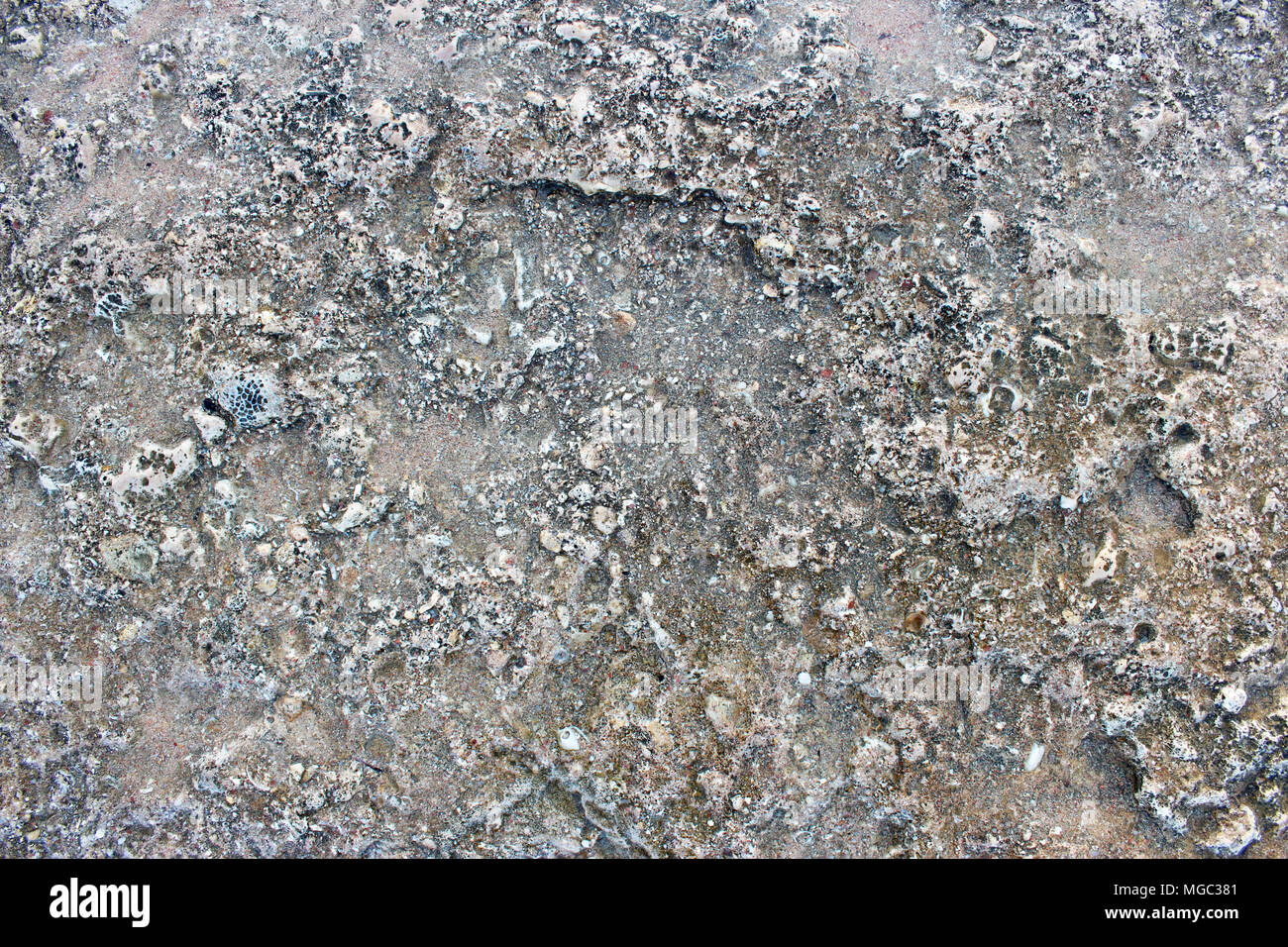 The flat stone slab in the background Stock Photo - Alamy