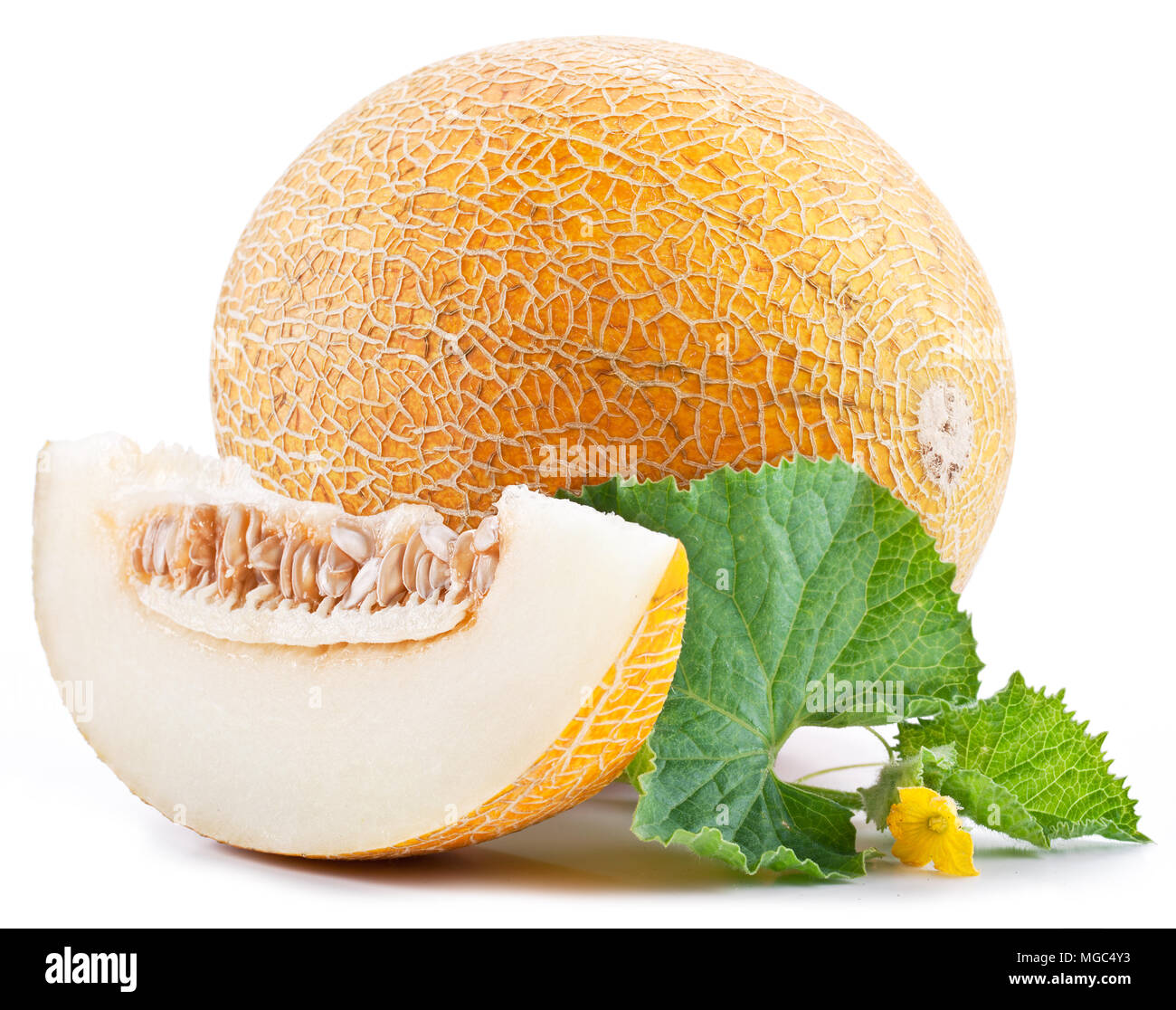 Ripe melons with fresh melon leaves on white background Stock Photo - Alamy