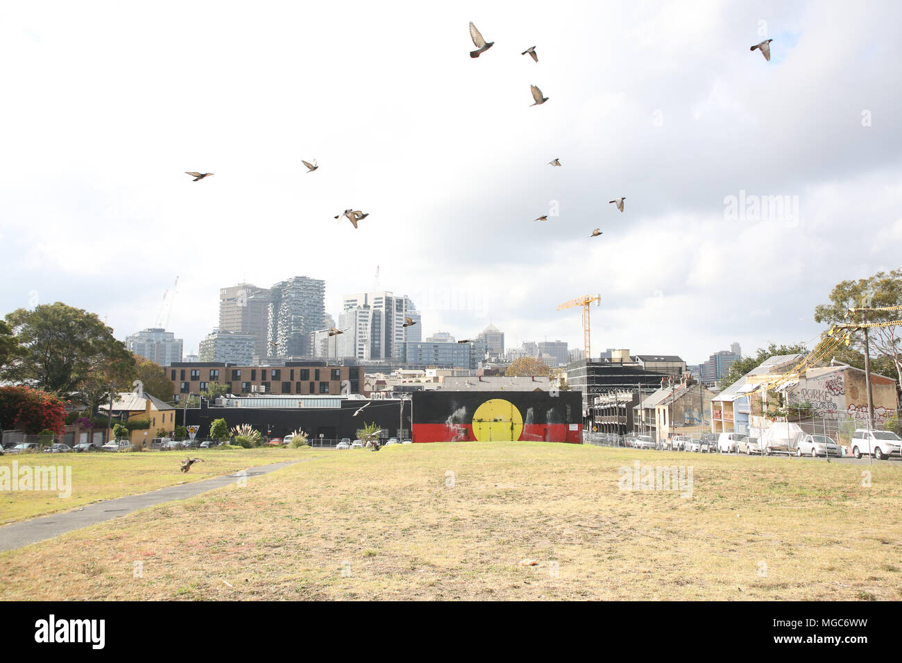 Birds in the air above The Block, Redfern Stock Photo - Alamy