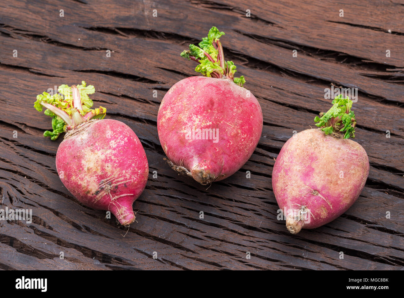 Daikon Radish Edible High Resolution Stock Photography and Images - Alamy