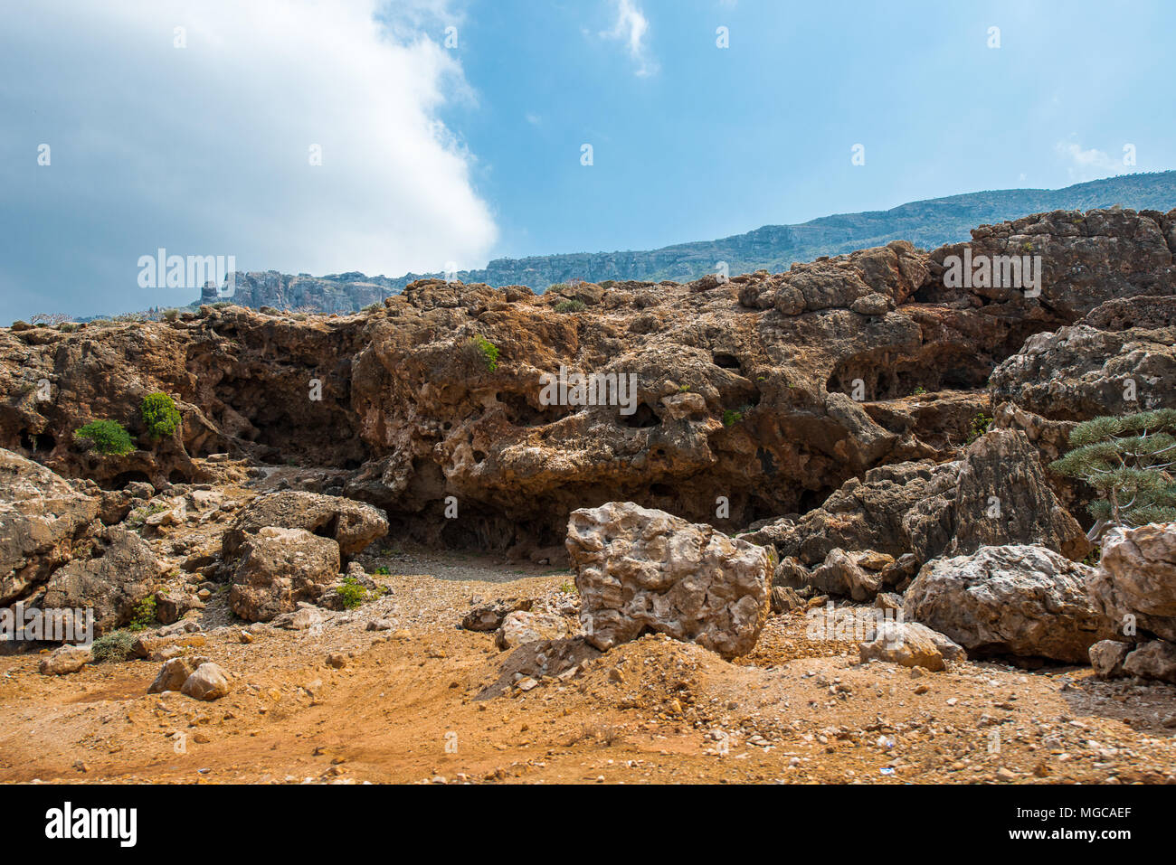 Stones on the Socotra Island, Yemen Stock Photo - Alamy