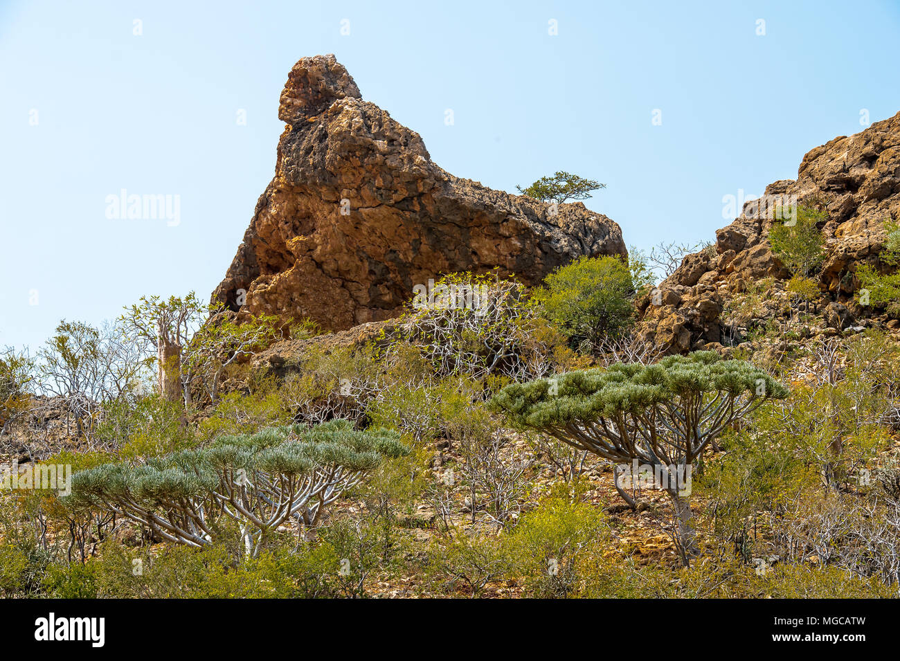 Nature landscape of Socotra Island Stock Photo - Alamy