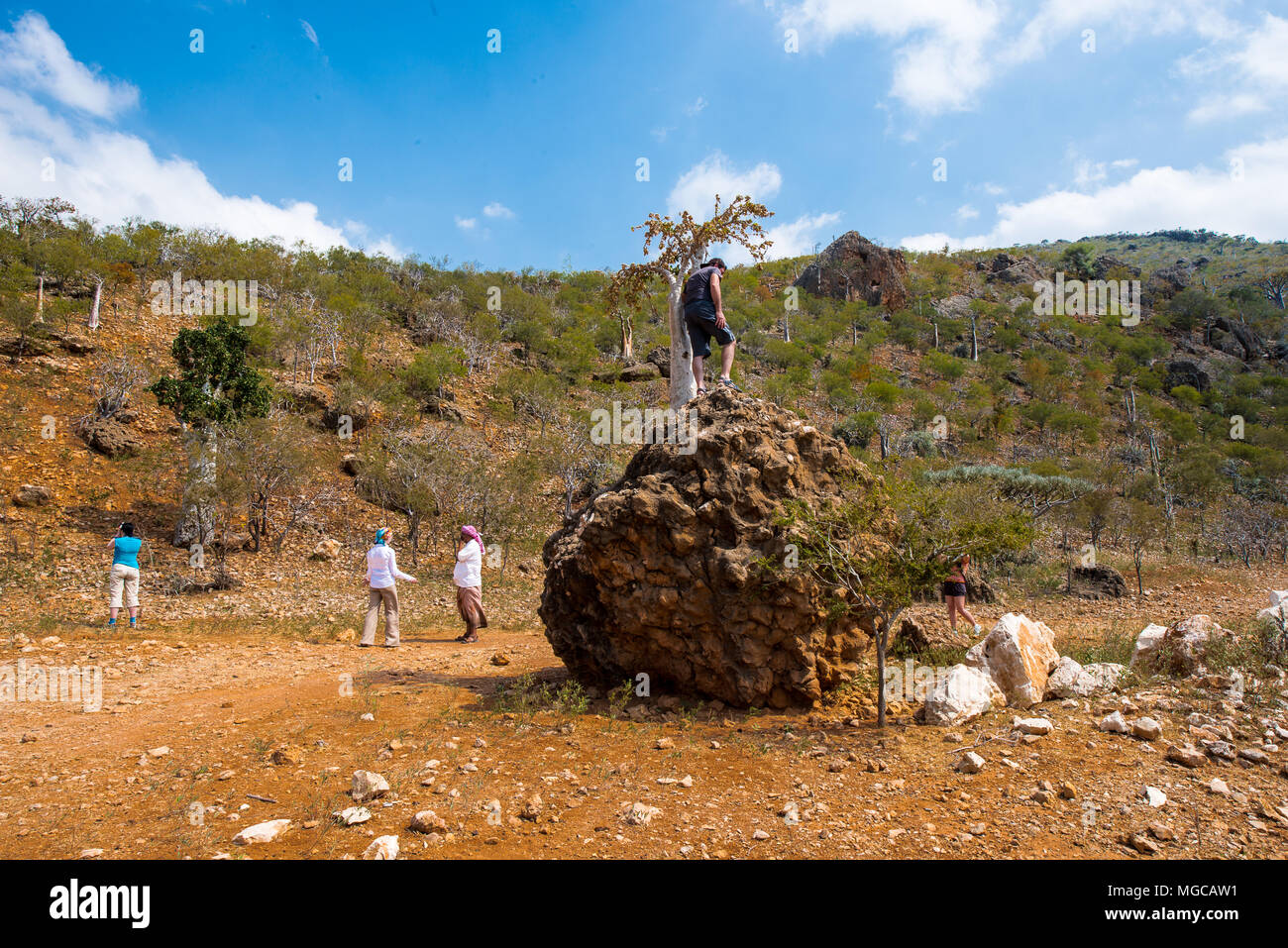 Nature landscape of Socotra Island Stock Photo - Alamy