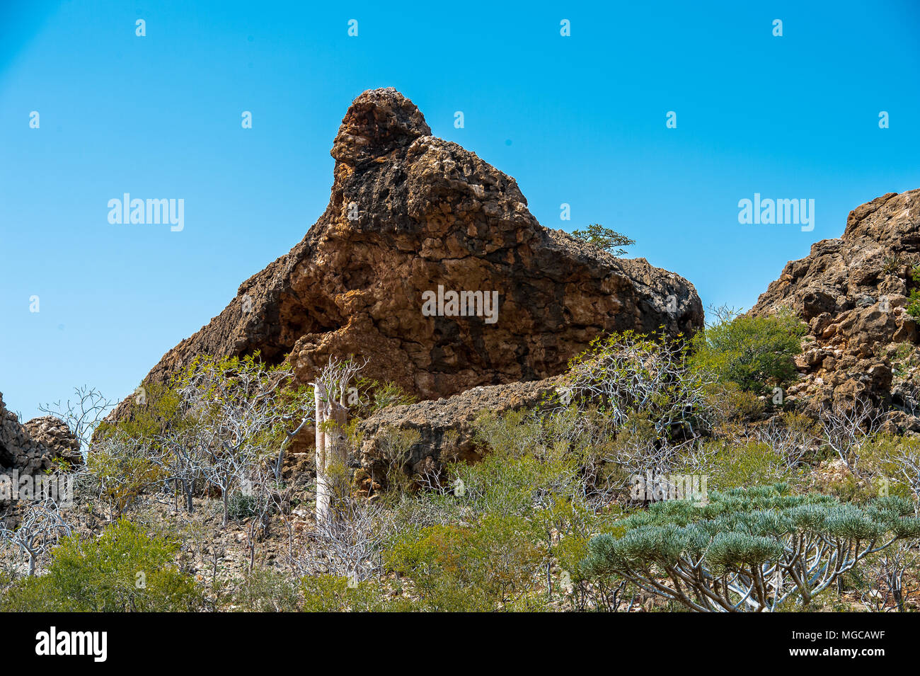 Nature landscape of Socotra Island Stock Photo - Alamy