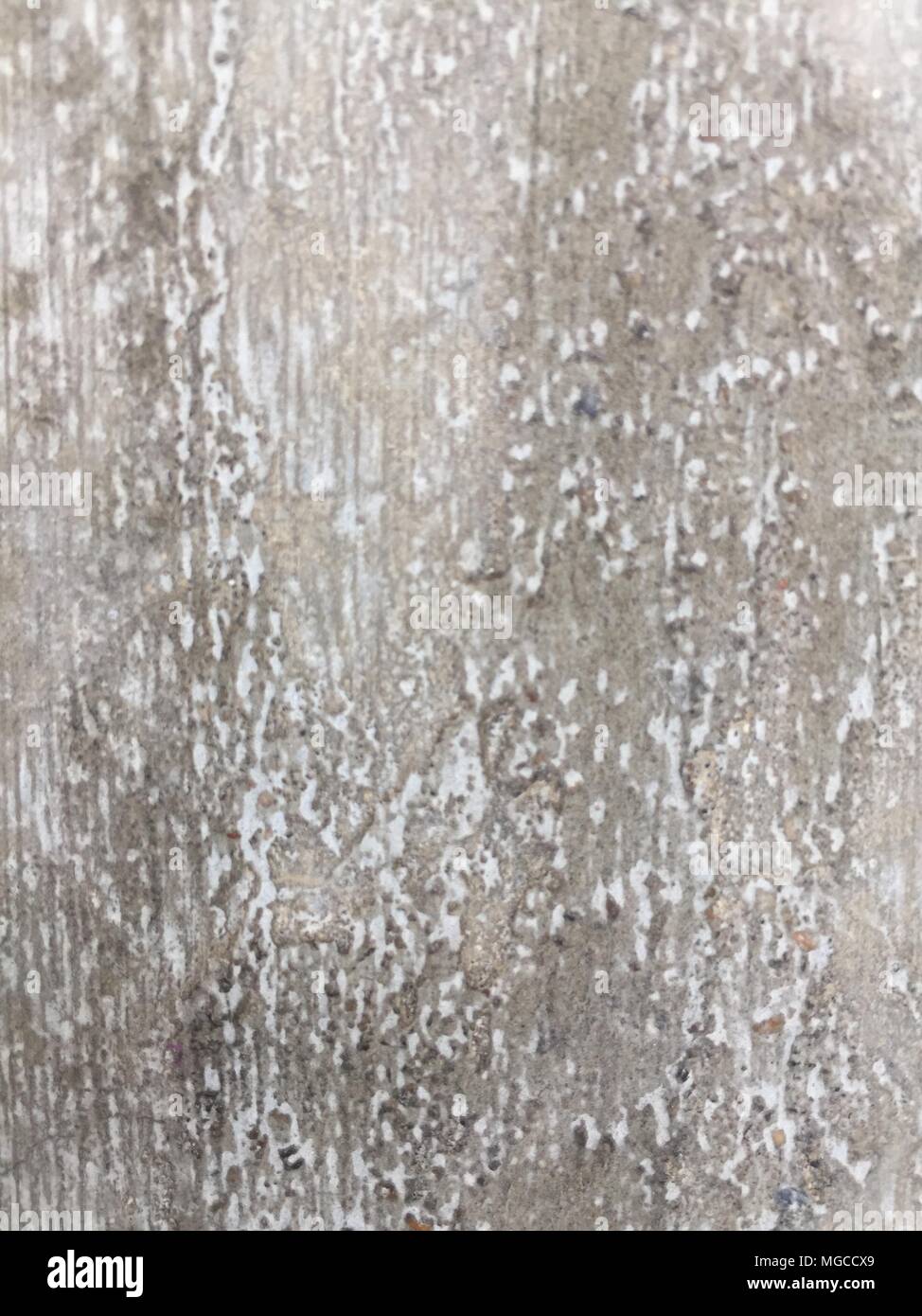 Cement surface grunge texture, good for background design slide ...
