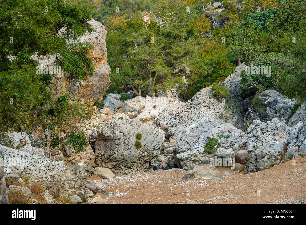 Rock formations and dry trees Stock Photo - Alamy