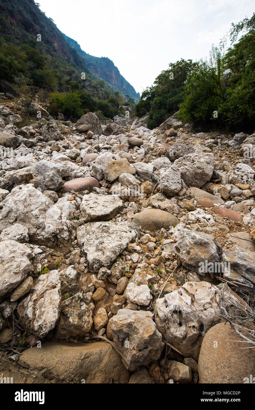 Rock formations and dry trees Stock Photo - Alamy