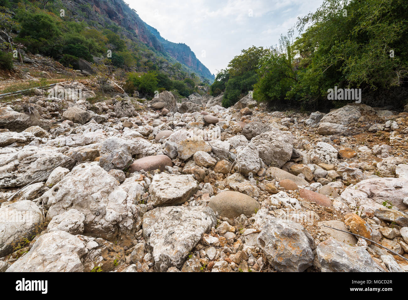 Rock formations and dry trees Stock Photo - Alamy