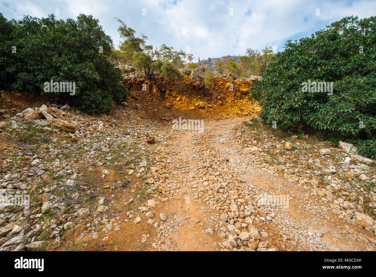 Rock formations and dry trees Stock Photo - Alamy