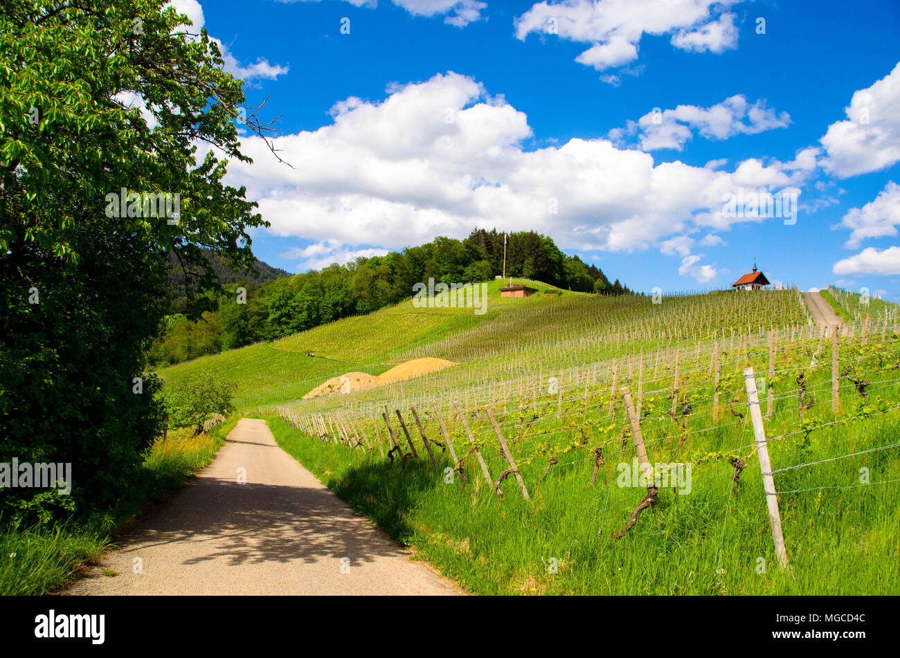 Ohlsbach hi-res stock photography and images - Alamy