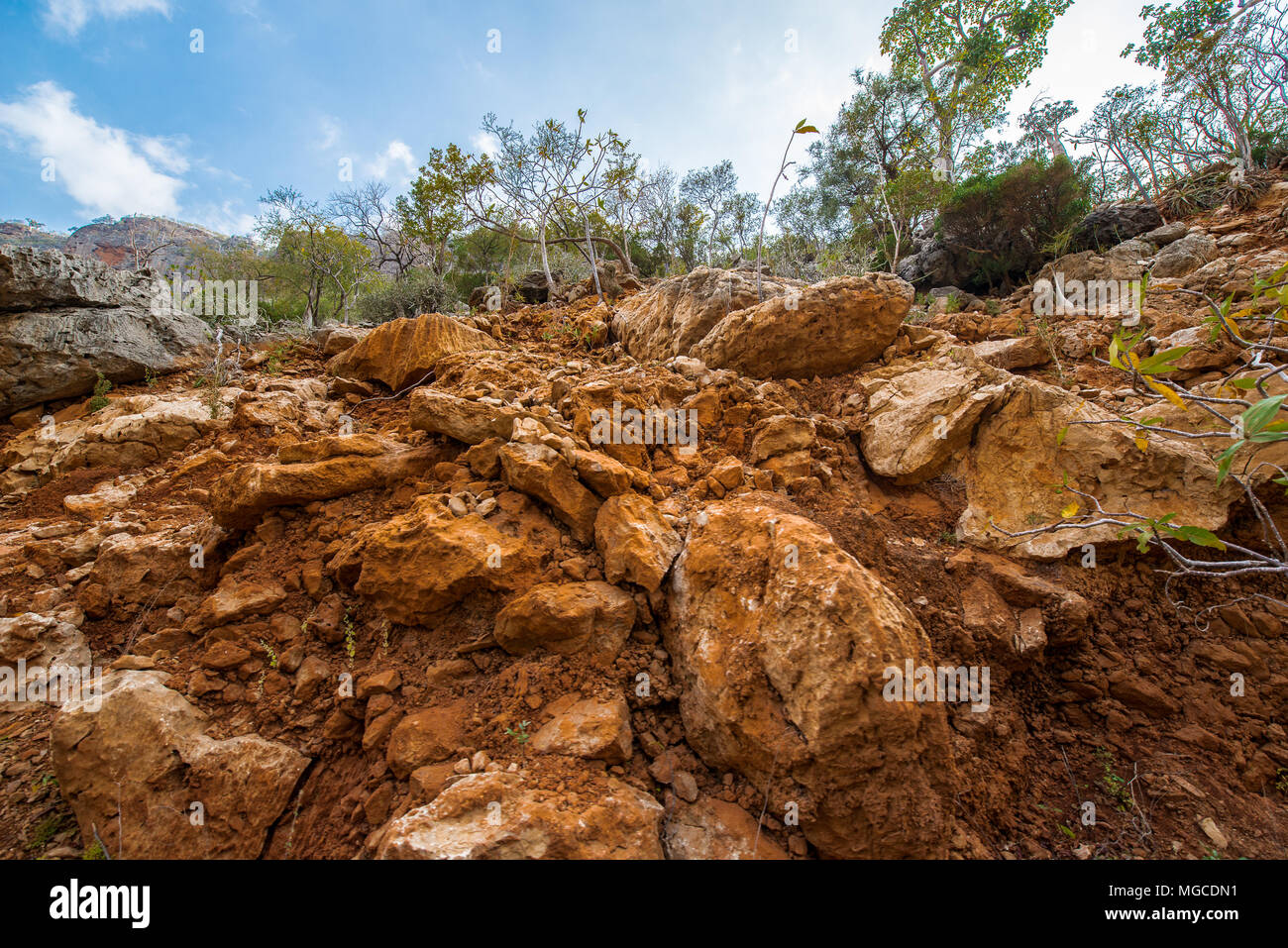 Stone and rock formations on the Socotra Island, Yemen Stock Photo - Alamy
