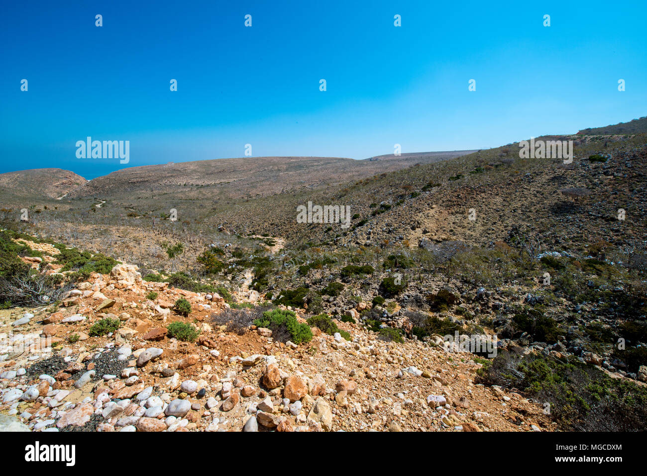 Stone on the Socotra Archipelago, Yemen Stock Photo - Alamy