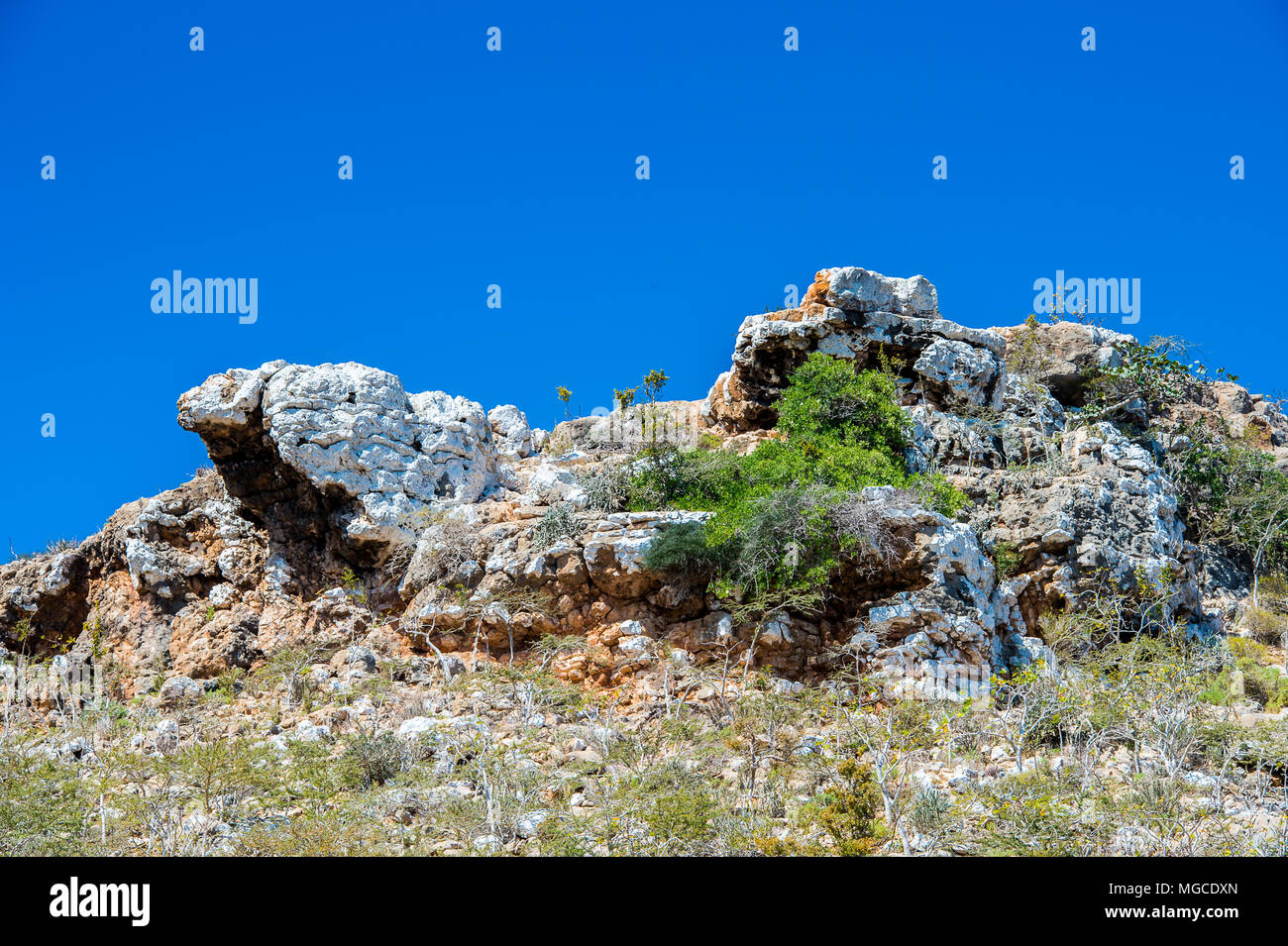 Stone on the Socotra Archipelago, Yemen Stock Photo - Alamy