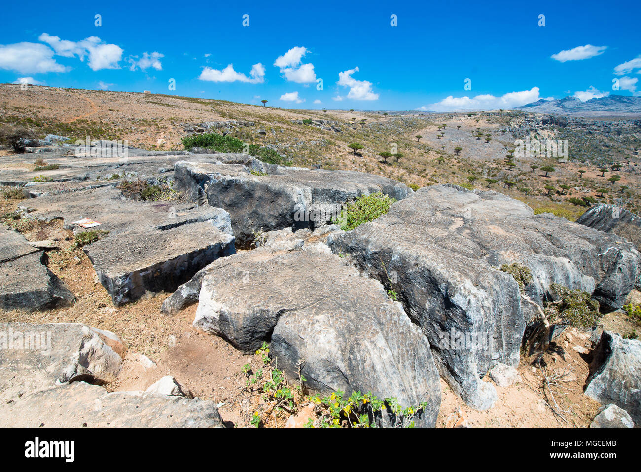 Rocks of the Socotra Island in Yemen. Socotra Archipelago is a UNESCO ...