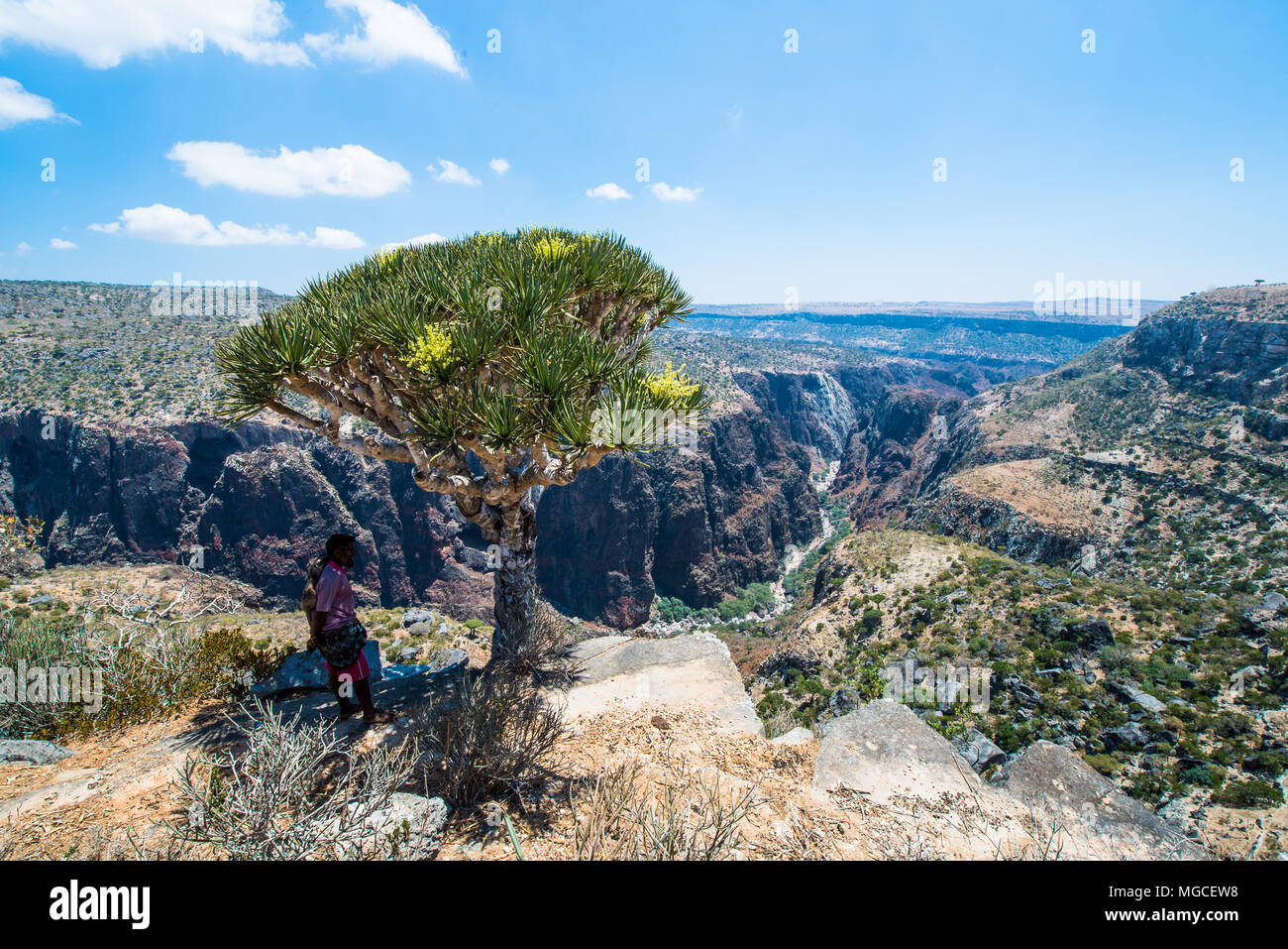 Beautiful nature of the Socotra Island, Yemen Stock Photo - Alamy