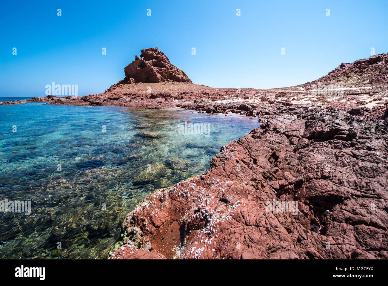 Socotra island yemen hi-res stock photography and images - Alamy
