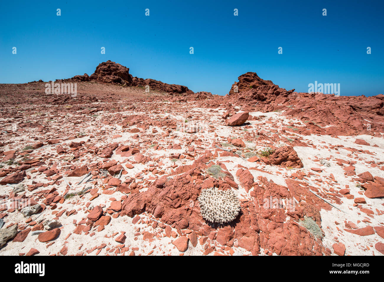 Rocks and other formations of th Socotra Island Stock Photo - Alamy