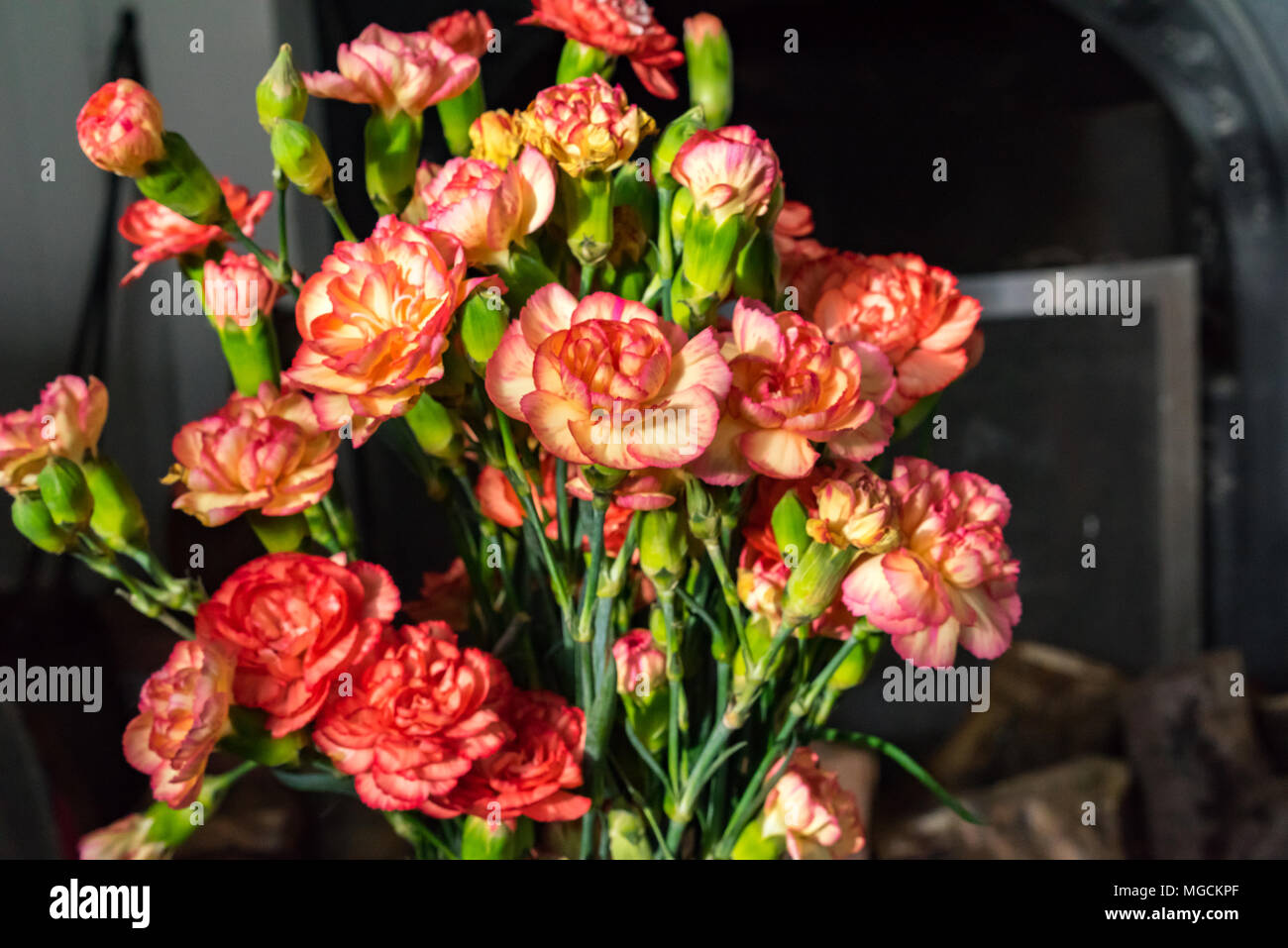 Bunch of carnations hi-res stock photography and images - Alamy