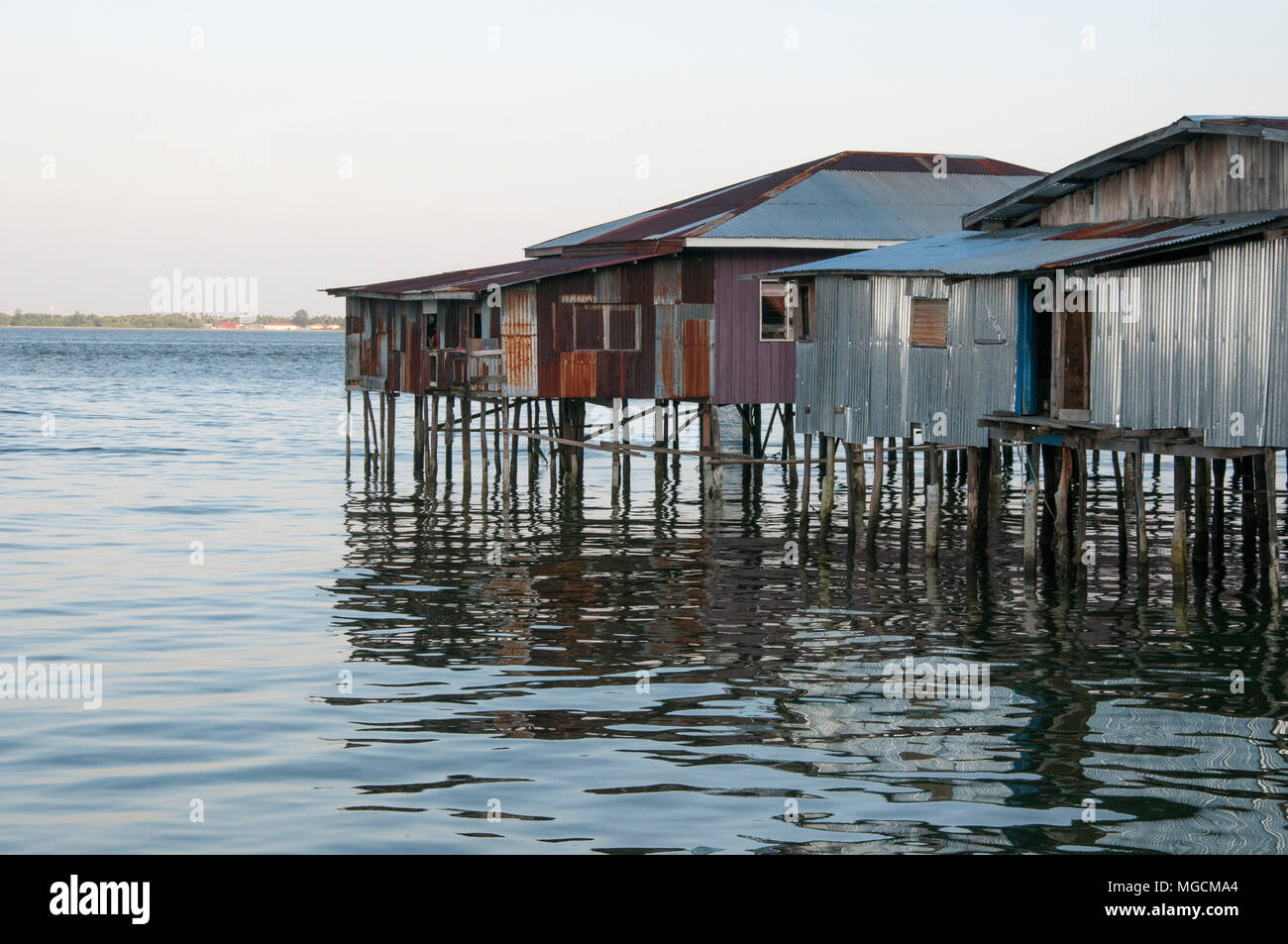 Sim sim borneo hi-res stock photography and images - Alamy